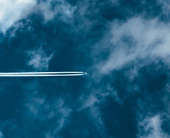 VERUS GLOBAL | Shipping International