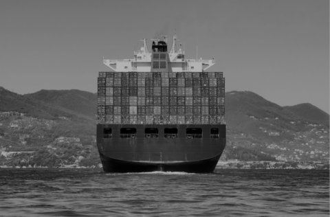 VERUS GLOBAL | Shipping International